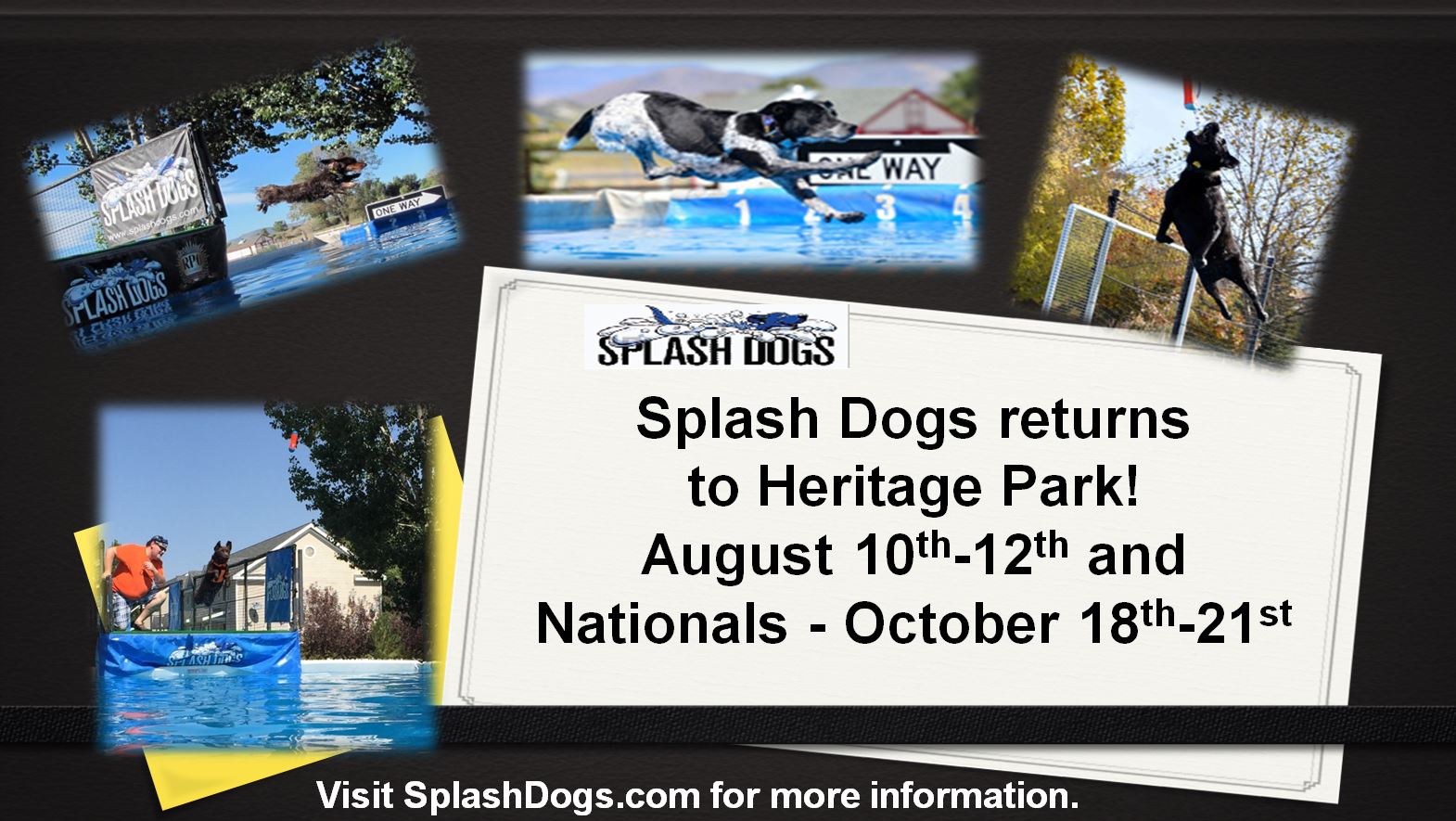 Splash Dogs - Town of Gardnerville